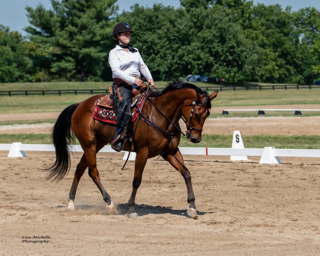 Home [www.wdami.org]